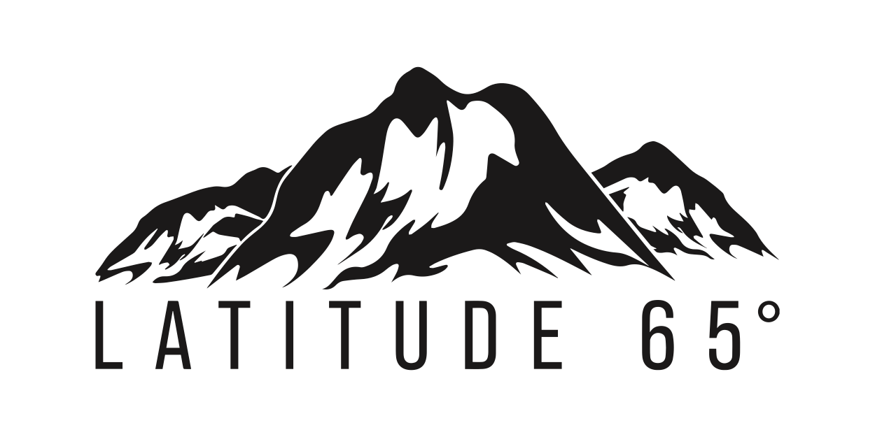 LATITUDE 65 SIGNS PARTNERSHIP DEAL WITH SDGPT – Swedish Disc Golf Pro Tour